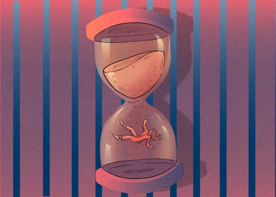 Too mentally ill for trial, she spent months in an Illinois jail as the ...